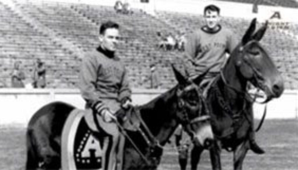 Mules at West Point – Mule, Donkey & Horse Training with Meredith Hodges