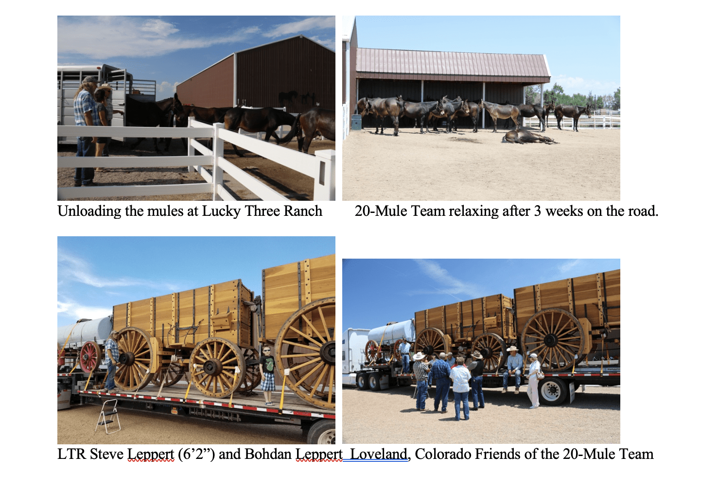 MULE CROSSING: Press Release: The 20-Mule Team Comes to the Lucky Three ...