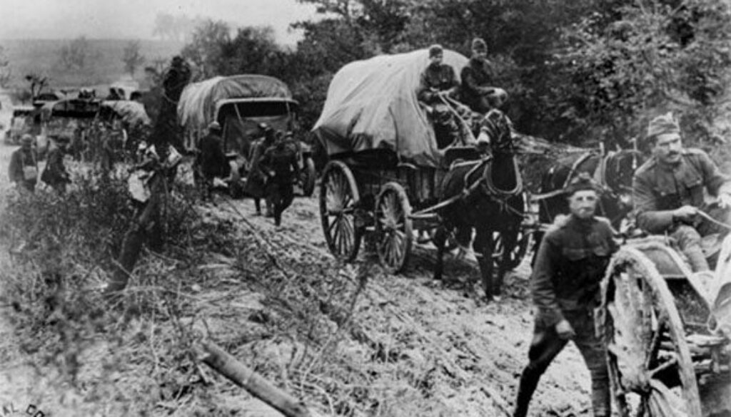 The History of the Missouri Mule – Mule, Donkey & Horse Training with ...