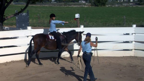 MULE CROSSING: Learning to Ride a Balanced Seat – Mule, Donkey & Horse ...