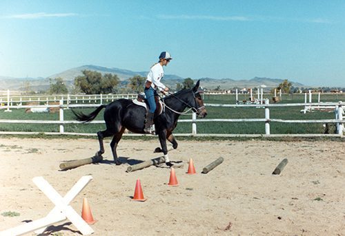 MULE CROSSING: Jumping Mules – Mule, Donkey & Horse Training with ...