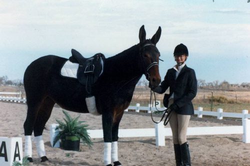 MULE CROSSING: Youth Spotlight Dena Hodges – Mule, Donkey & Horse ...