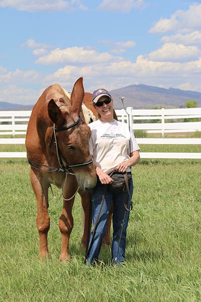 What’s New with Roll? Ground Driving the Pasture – Mule, Donkey & Horse ...