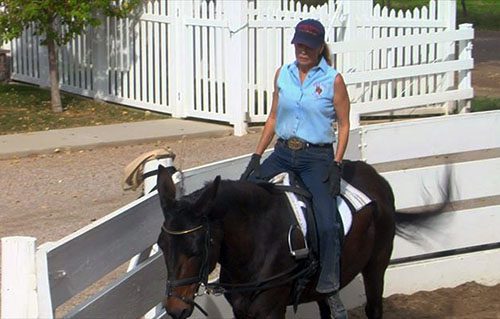 MULE CROSSING: Understanding the Use of Cruppers and Breeching – Mule ...