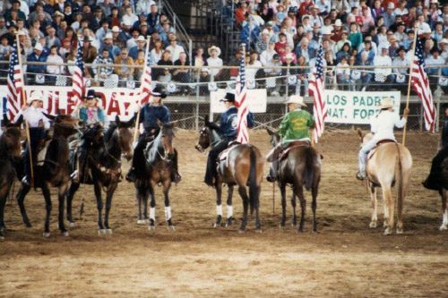 MULE CROSSING: Lucky Three Mae Bea C. T. – Mule, Donkey & Horse ...
