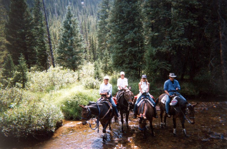 Mule Crossing