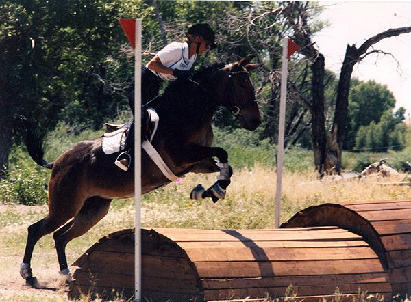 MULE CROSSING: Do Mules Need to Be Shod? – Mule, Donkey & Horse ...
