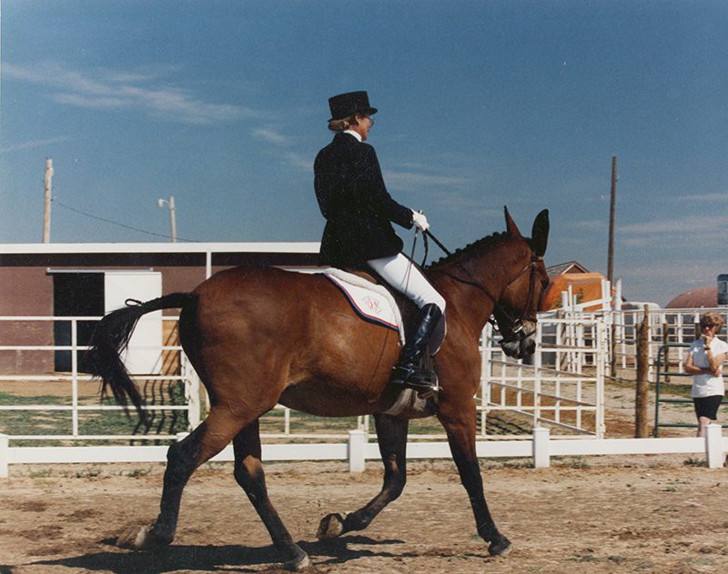 MULE CROSSING: Shoulder-In and Lengthening the Trot – Mule, Donkey ...