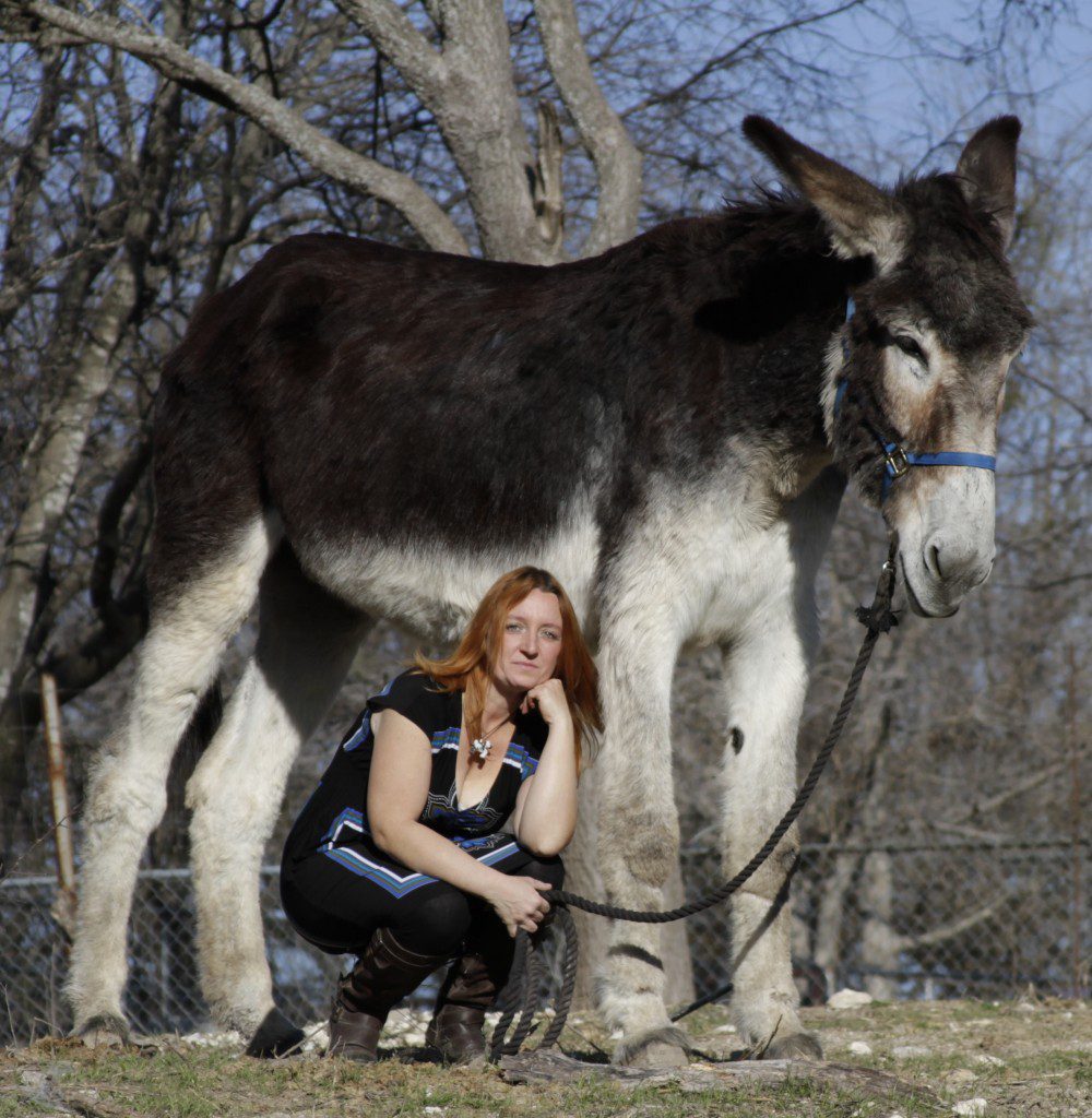 Romulus and Remus, A Big Pair of Asses… – Mule, Donkey & Horse Training ...