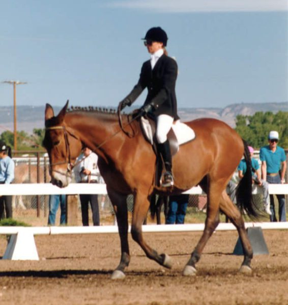 MULE CROSSING: Dancing with Mules – Mule, Donkey & Horse Training with ...