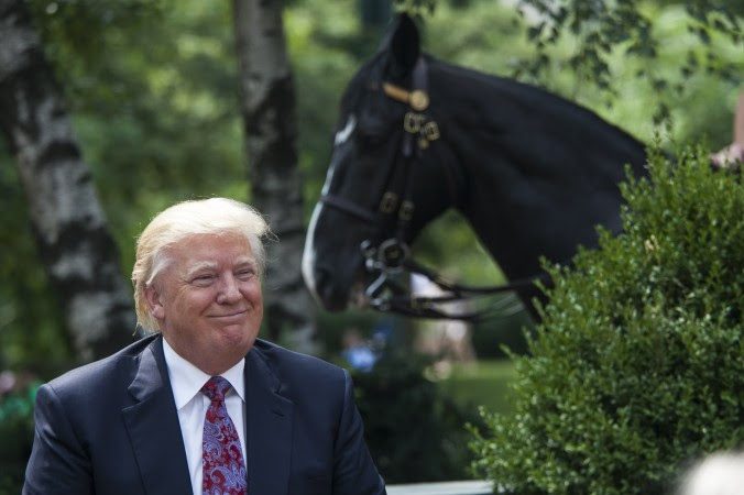 Ask Trump: Protect Our Mustangs